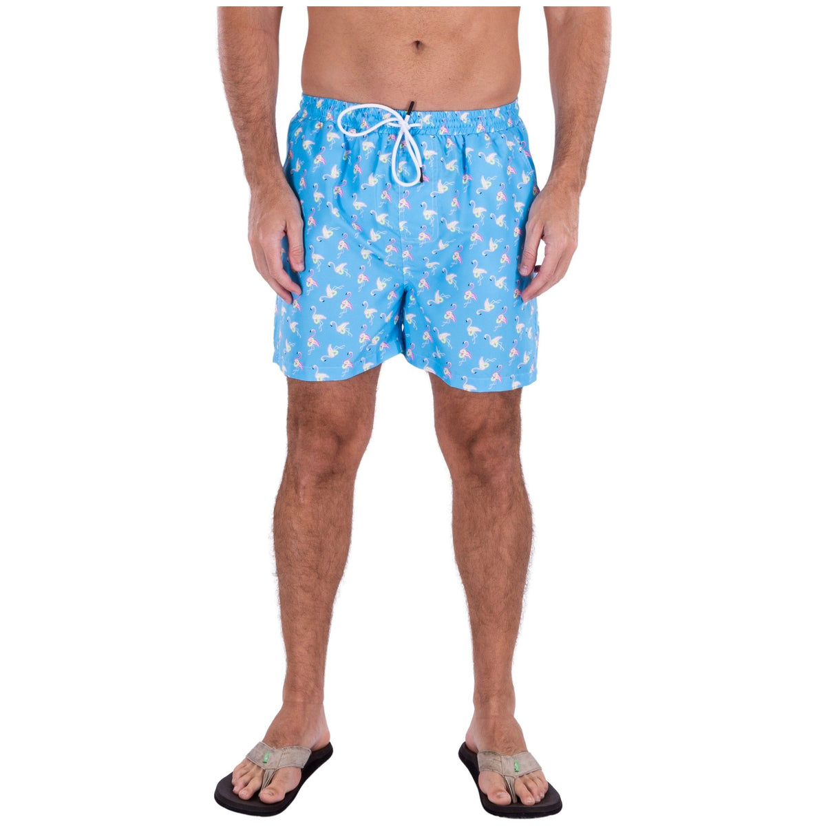 223118 - Turquoise Flamingo Print Shorts – NEO NYC, INC.